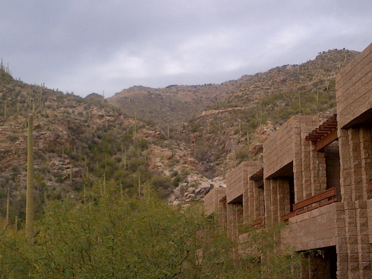 Health care is complicated – Desert Tempered